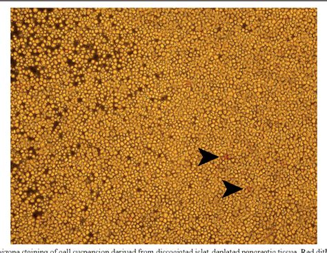 Figure 1 From Activation Of The Jak Stat Signalling Pathway By Leukaemia Inhibitory Factor