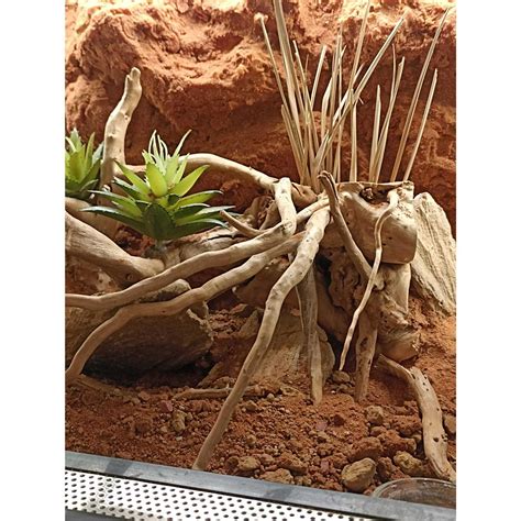 Exo Terra Stone Desert Substrate Pet Supplies Online Store