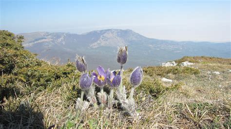 Гора Чатыр Даг