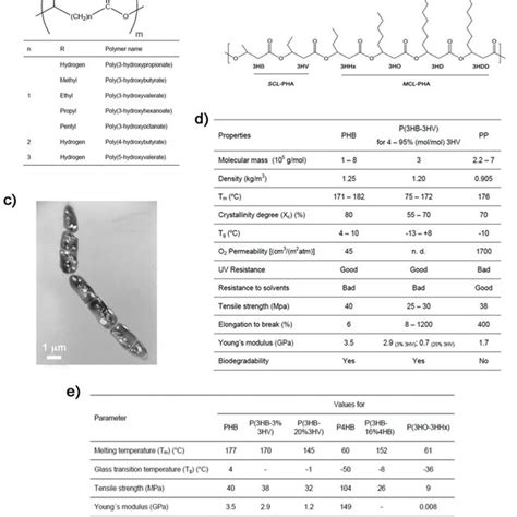 A Chemical Structure Of The Polyhydroxyalkanoates Pha Biopolymer