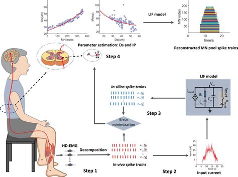 Excited To Share Our Latest Study Published In Journal Of