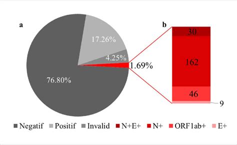 Samples Distribution A Pie Chart Representing The Total Selected