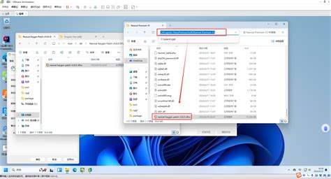 使用navicat连接oracle数据库教程 navicat连oracle csdn博客