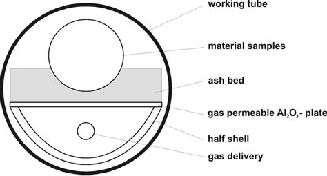 Schematic Cross Section Of The Position Of The Probe Download