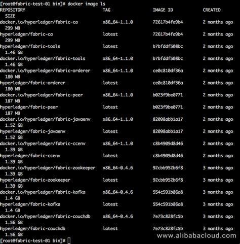 Building A Hyperledger Fabric Network From Scratch Alibaba Cloud
