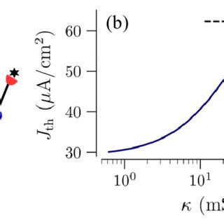 Sufficiently Strong Input Current To Leaf Nodes Fires Up The Root Node Download Scientific