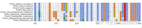 生信软件10 Dna Rna 蛋白多序列比对图r包ggmsa 知乎