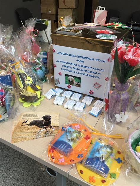 ФОНДАЦИЯ ОЧИ НА ЧЕТИРИ ЛАПИ