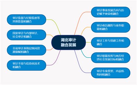 从统筹到融合的十年探索审计署网站 从统筹到融合的十年探索审计署网站