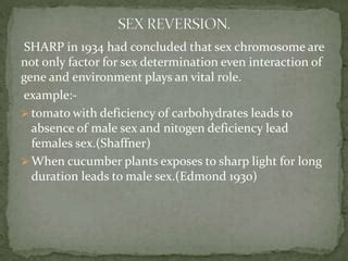 Sex Determination PPTX