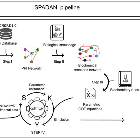 An Example Of Converting A Ppi Network To Its Equivalent Biochemical