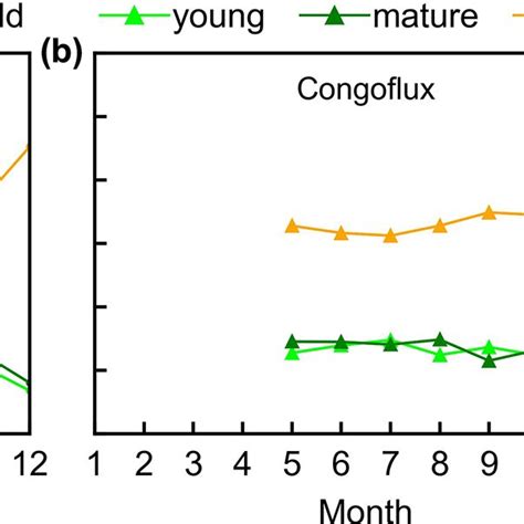 Seasonality Of Simulated Lai Young Lai Mature And Lai Old In