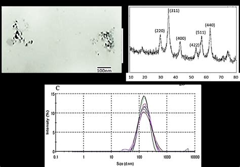 Characterization Of Paramagnetic Nanobeads A Tem Micrograph Of Download Scientific Diagram