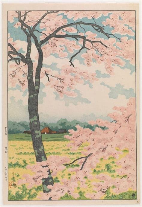 Cherry Blossoms Illustration Vintage Japanese Art