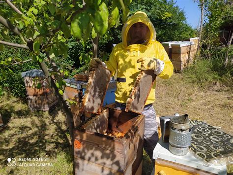 თერმული სკები თერმული სკები Added A New Photo