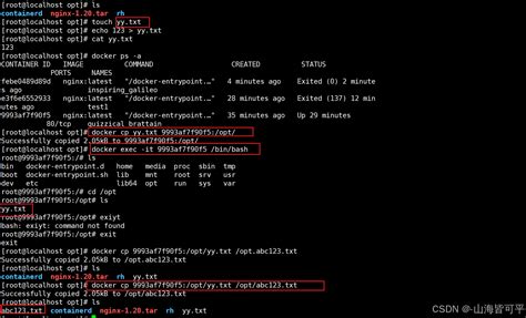 【docker】初识docker 基本概念及安装使用（巨详细版），网络安全零基础入门到精通实战教程！ Csdn博客