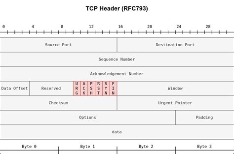 Nmap Nmap Live Host Discovery — Tryhackme By Timlssnss Medium
