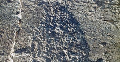 디지털 사진으로 만나는 1990년대 울주 반구대 암각화