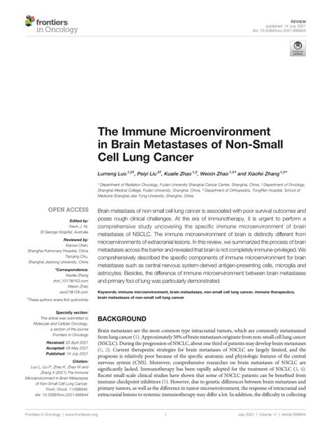Pdf The Immune Microenvironment In Brain Metastases Of Non Small Cell Lung Cancer