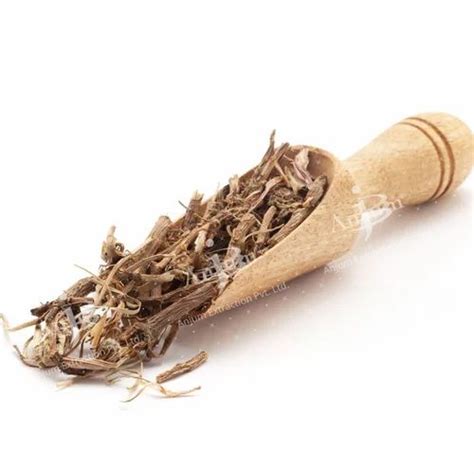 Akarkara Anacyclus Pyrethrum Extract At ₹ 9000kg Herbal Extract In