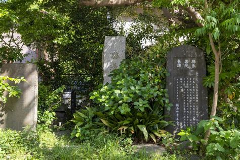 2022 Linux Apache Mariadb Python ブログ 2022 Linux Apache Mariadb Python ブログ