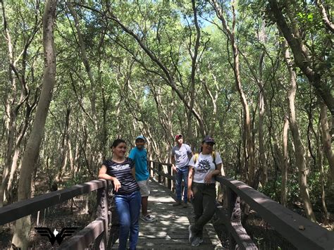 Fun Things To Do In Lppchea The Wander Woman