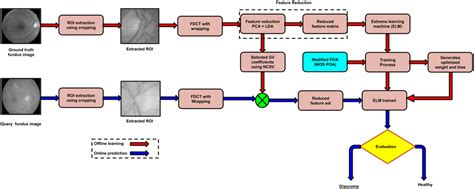 Retinal Imaging Based Glaucoma Detection Using Modified Pelican