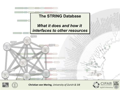 STRING Tutorial