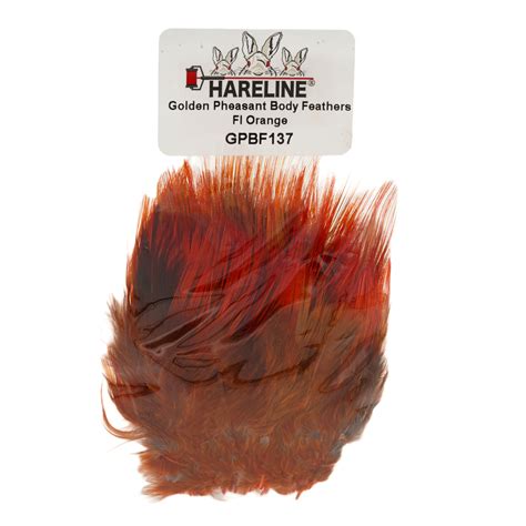 Hareline Golden Pheasant Body Feathers Avidmax
