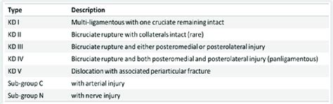 B Schenk Classification Of Knee Dislocation Download Scientific Diagram