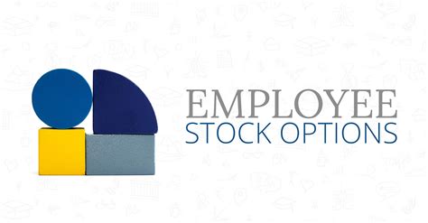 Employee Stock Option Software