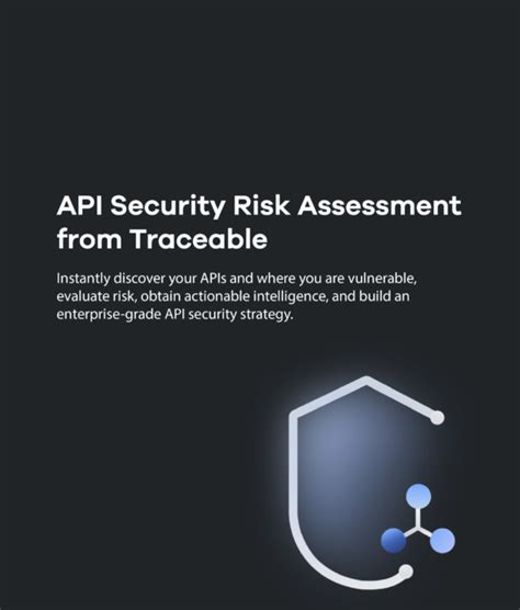 Api Security Risk Assessment From Traceable Traceable Api Security