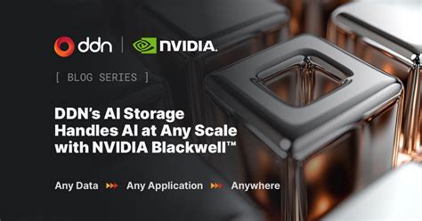 ddn s ai storage optimized for nvidia dgx™ b200 platform handling ai