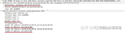 免费arp 知乎