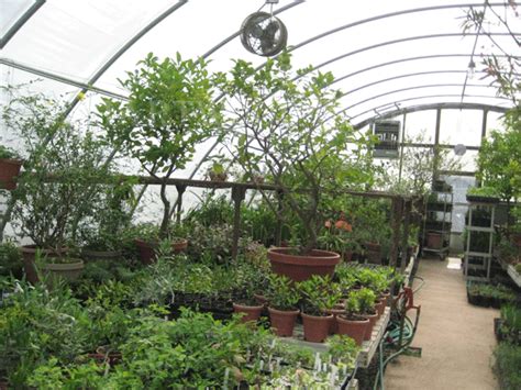 Hartwood Roses Flowers On Friday Monticellos Tufton Farm