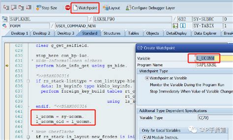 Debug系列三：使用f9和watchpointsap刘梦新浪博客 Csdn博客