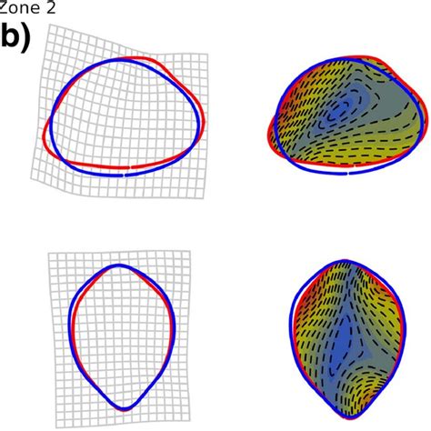 Shell Shape Variation In C Ambigua Morphotypes For Which Sex Was Download Scientific Diagram