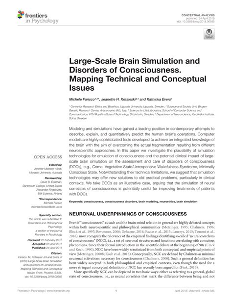 PDF Large Scale Brain Simulation And Disorders Of Consciousness Mapping Technical And