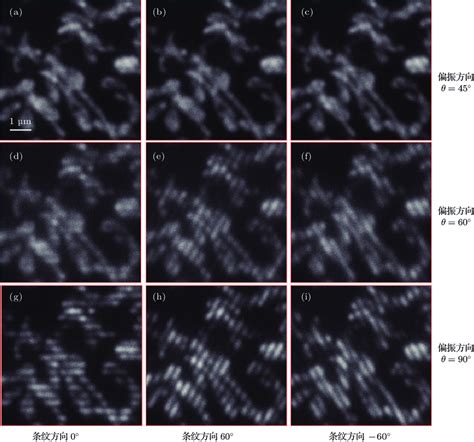 Comparison Of The Interference Fringe Contrast At Different