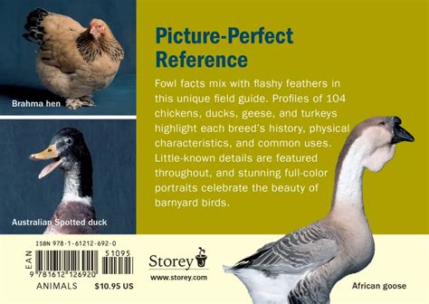 Poultry Breeds Pocket Book Rogier Poultry