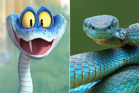 People Are Buying Venomous Bright Blue Vipers As Pets After Seeing The
