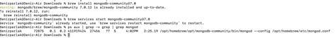 unable to start mongodb community stack overflow