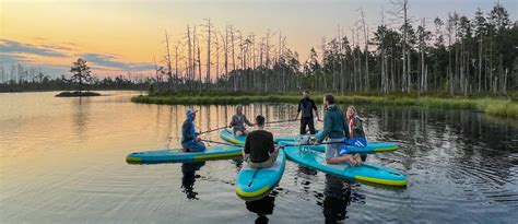 Mastering Team Integrity With Adizes Methodology Flexbi