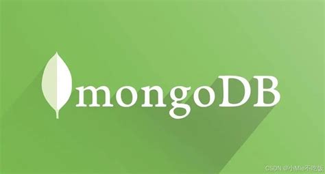 零基础 Mongodb 快速安装并图解教程 全网最详细 Mongodb安装教程图解 Csdn博客