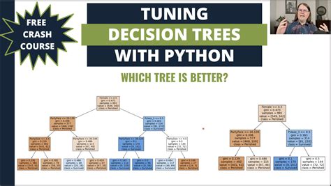 Machine Learning Crash Courses — Dave On Data