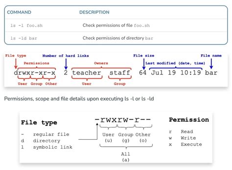 a comprehensive guide to linux file permissions centlinux