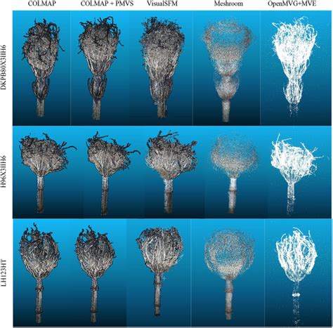 Visual Comparison Of Three Reconstructed Maize Genotypes The 3d Root Download Scientific