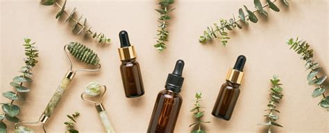 페이셜 그린 비취 롤러 의료 및 미용용 유리 드롭퍼 병 유칼립투스 가지 Spa 컨셉 아로마세러피 오일에 대한 스톡 사진 및 기타 이미지 아로마세러피 오일 개념 개인