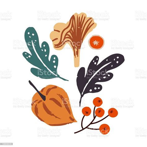 평면 스타일의 가을 디자인 자연 가을 요소 손으로 그린 버섯 Physalis 잎 및 열매 클립 아트 엽서 섬유 웹 사이트 및 소셜 미디어에 대한 흰색 배경에 격리 된 벡터