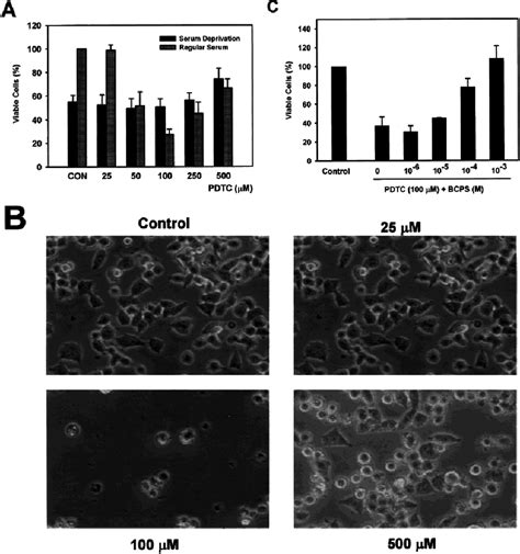 Induction Of Biphasic Cell Viability By Various Pdtc Doses And Effect Download Scientific